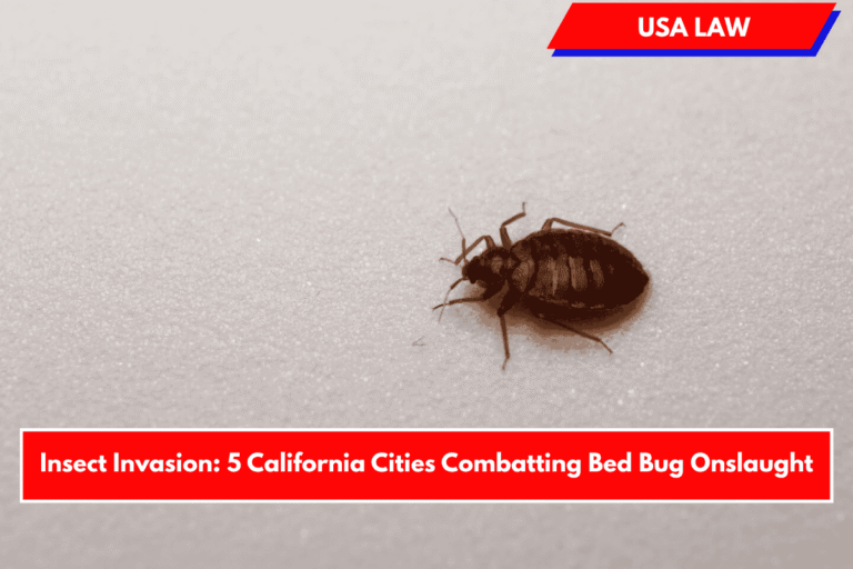 Insect Invasion: 5 California Cities Combatting Bed Bug Onslaught - The ...