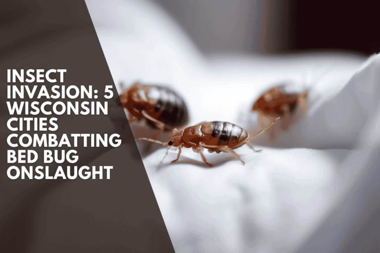 Insect Invasion: 5 Wisconsin Cities Combatting Bed Bug Onslaught - The ...
