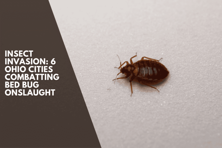 Insect Invasion: 6 Ohio Cities Combatting Bed Bug Onslaught - The Wrangler