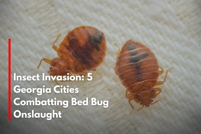 Insect Invasion: 5 Georgia Cities Combatting Bed Bug Onslaught - The ...