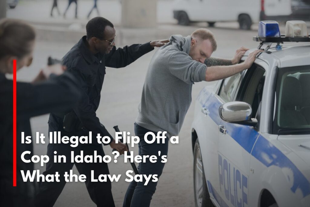 Is It Illegal to Flip Off a Cop in Idaho? Here's What the Law Says ...