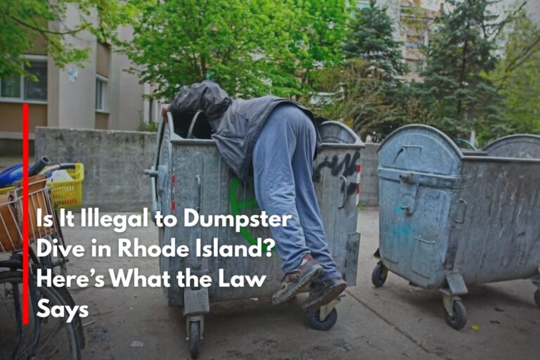Is It Illegal to Dumpster Dive in Rhode Island? Here’s What the Law ...