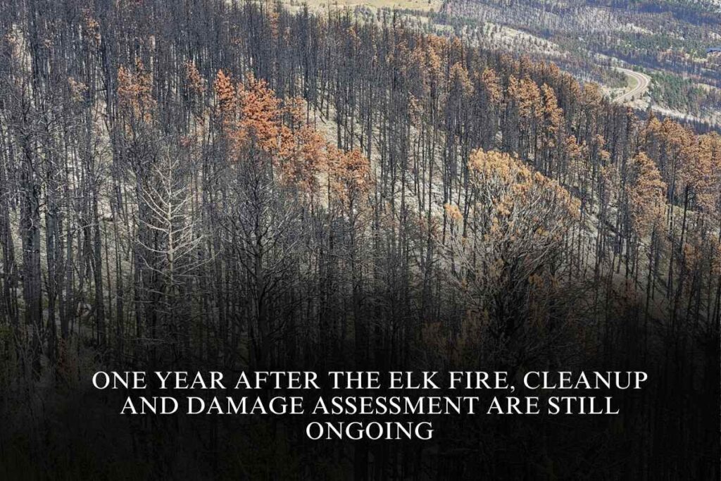One year after the Elk Fire, cleanup and damage assessment are still ...